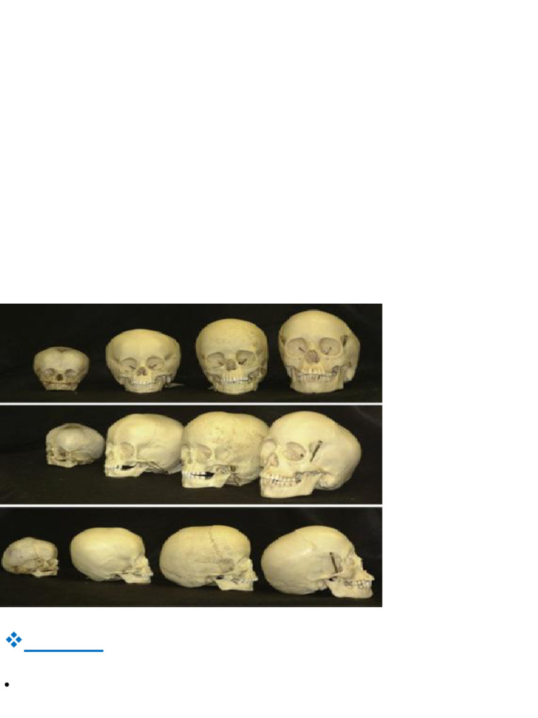 Craniofacial Growth Insights | PDF | Skull | Bone