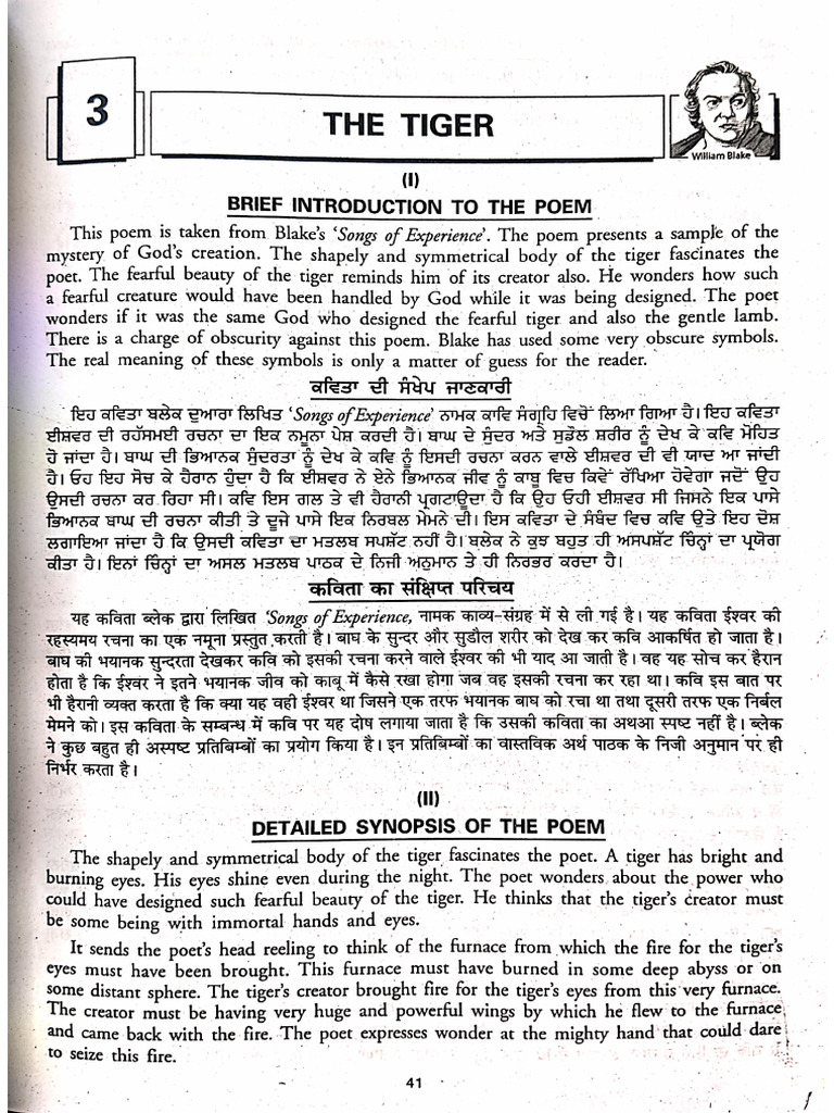 p3 The Tyger | PDF