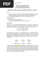 Beetroot Membrane Permeability Practical | PDF | Cell Membrane | Experiment