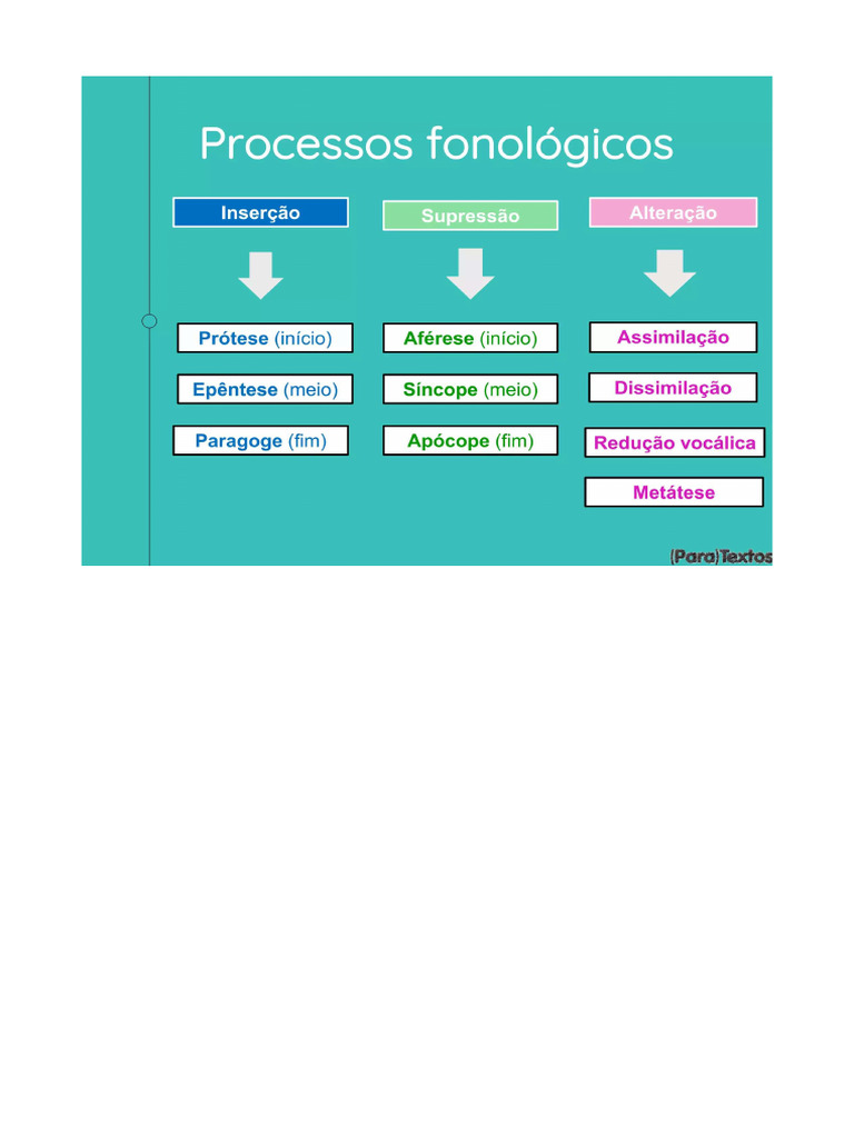 PT Processos Fonologicos | PDF