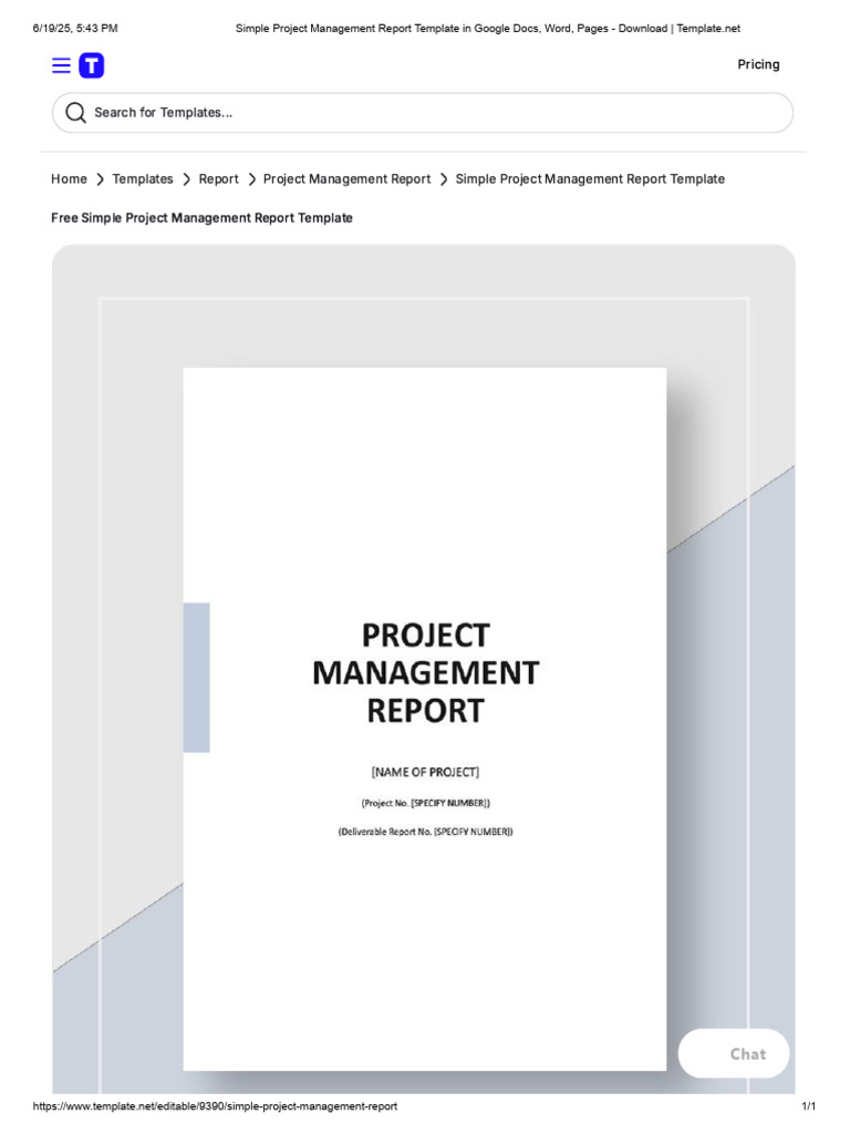 Simple Project Management Report Template in Google Docs, Word, Pages ...