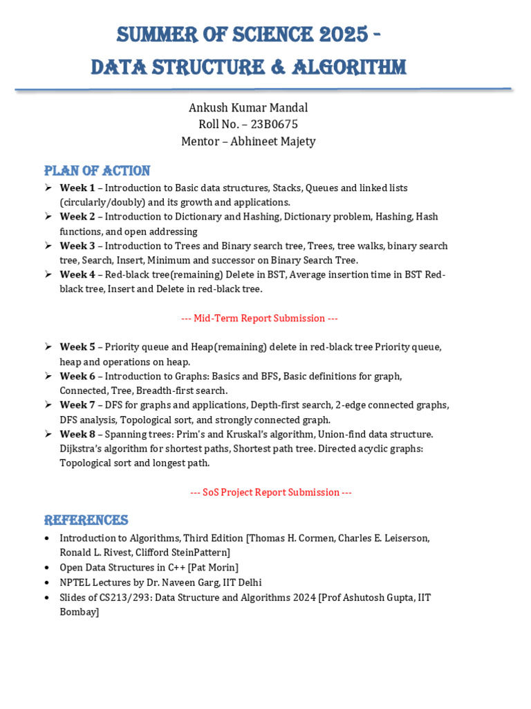 SoS2025 DSA Plan of Action Final | PDF