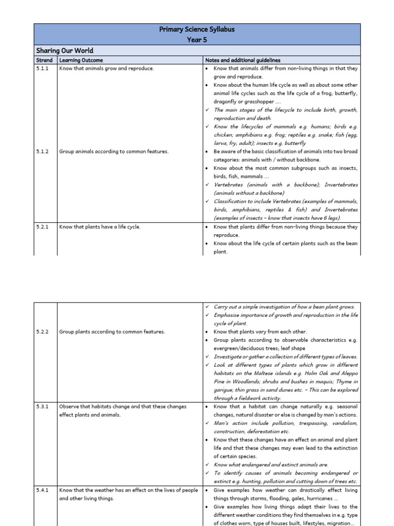 Year 5 Primary Science Syllabus Overview | PDF | Magnet | Sound