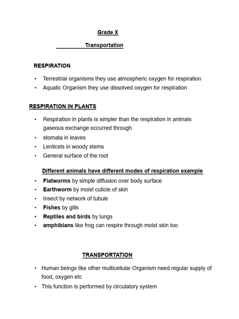 Transportation New Notes | PDF | Circulatory System | Heart