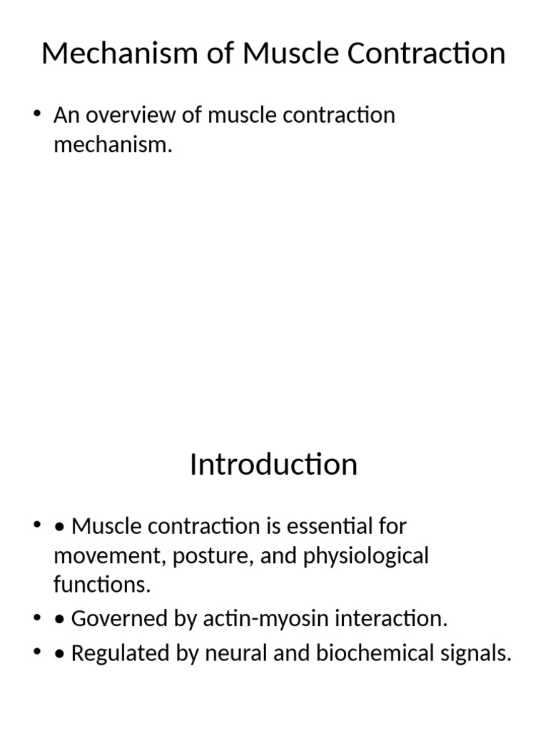 Mechanism of Muscle Contraction | PDF
