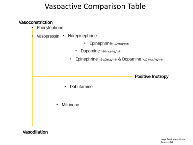 Vasoactive Comparison Table | PDF