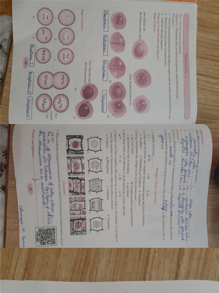 Science 2 Journal | PDF