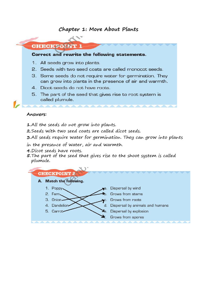 Chapter1. More About Plants (Notes Grade5-) | PDF | Seed | Germination