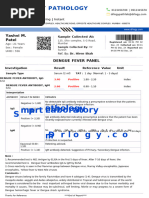 DENGUE FEVER Test Report Format Example Sample Template Drlogy Lab ...