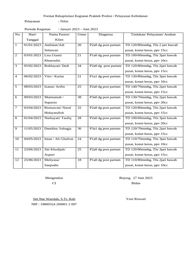 Format Rekapitulasi Kegiatan Praktek Nifas | PDF