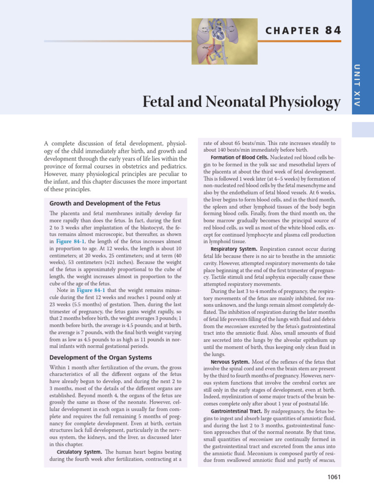 Fetal and Neonatal Physiology | PDF | Circulatory System | Atrium (Heart)