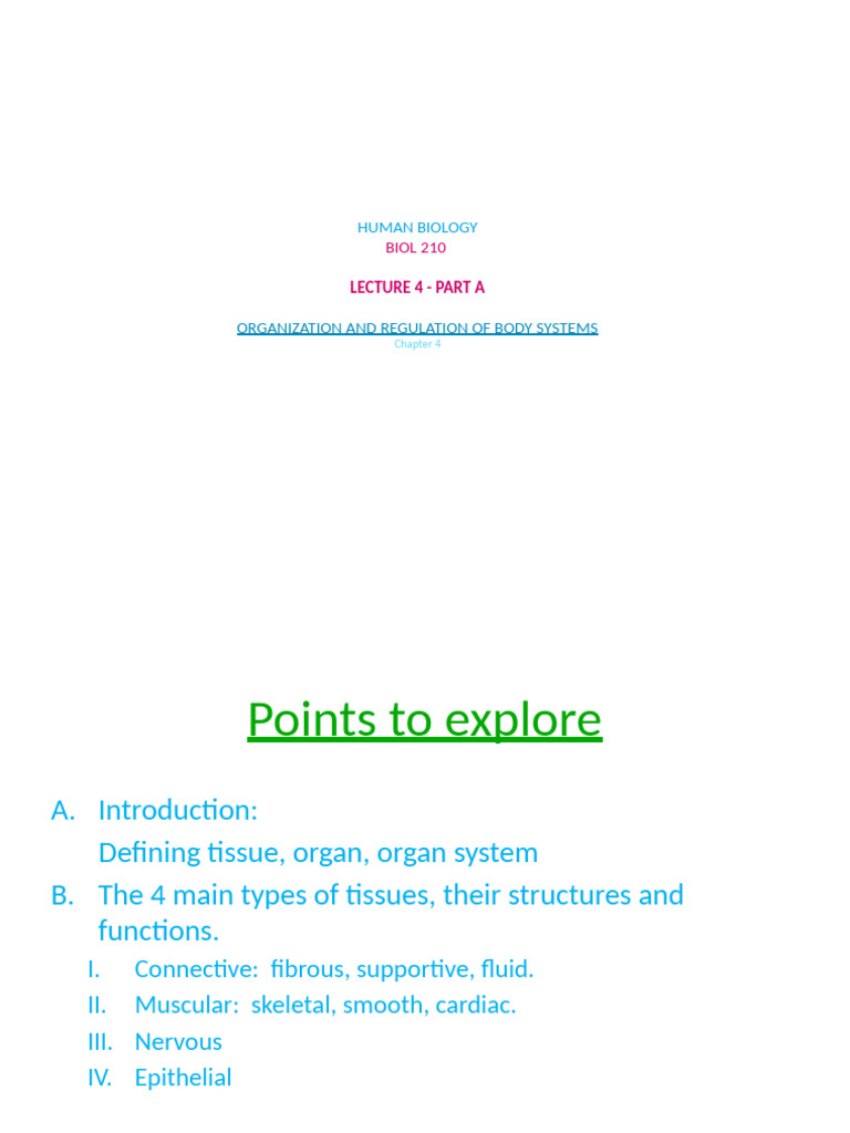BIOL 210 Lecture 4A Corrected | PDF | Connective Tissue | Muscle