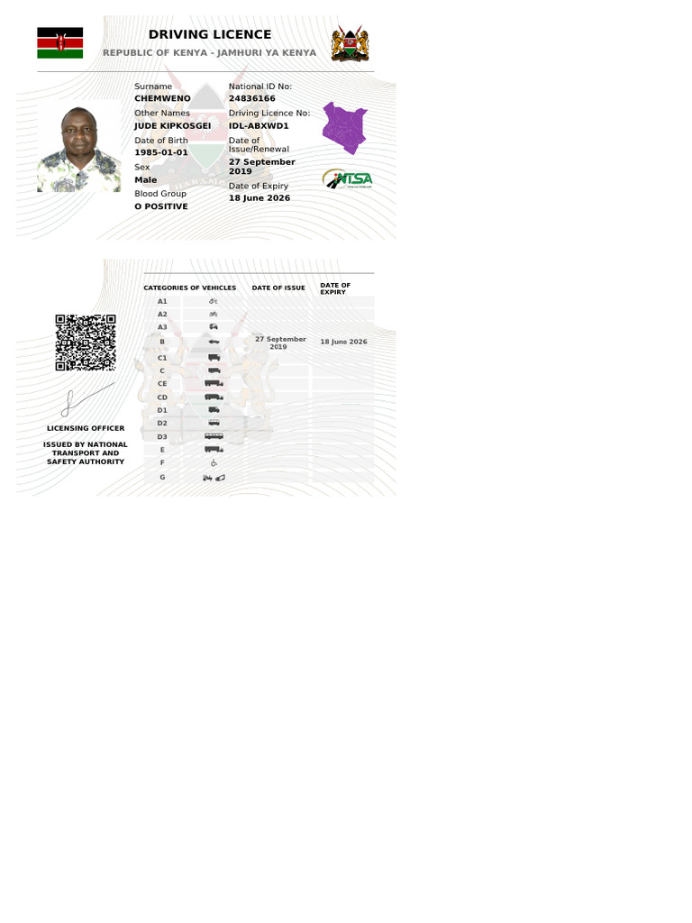 DLR J5PU9K9WB Electronic Driving License | PDF