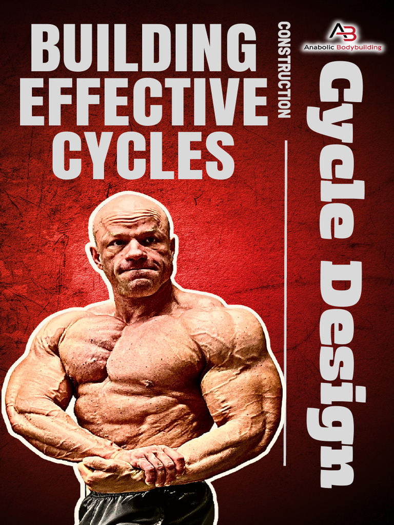 Building Effective Cycles v2 | PDF | Drugs | Endocrine System