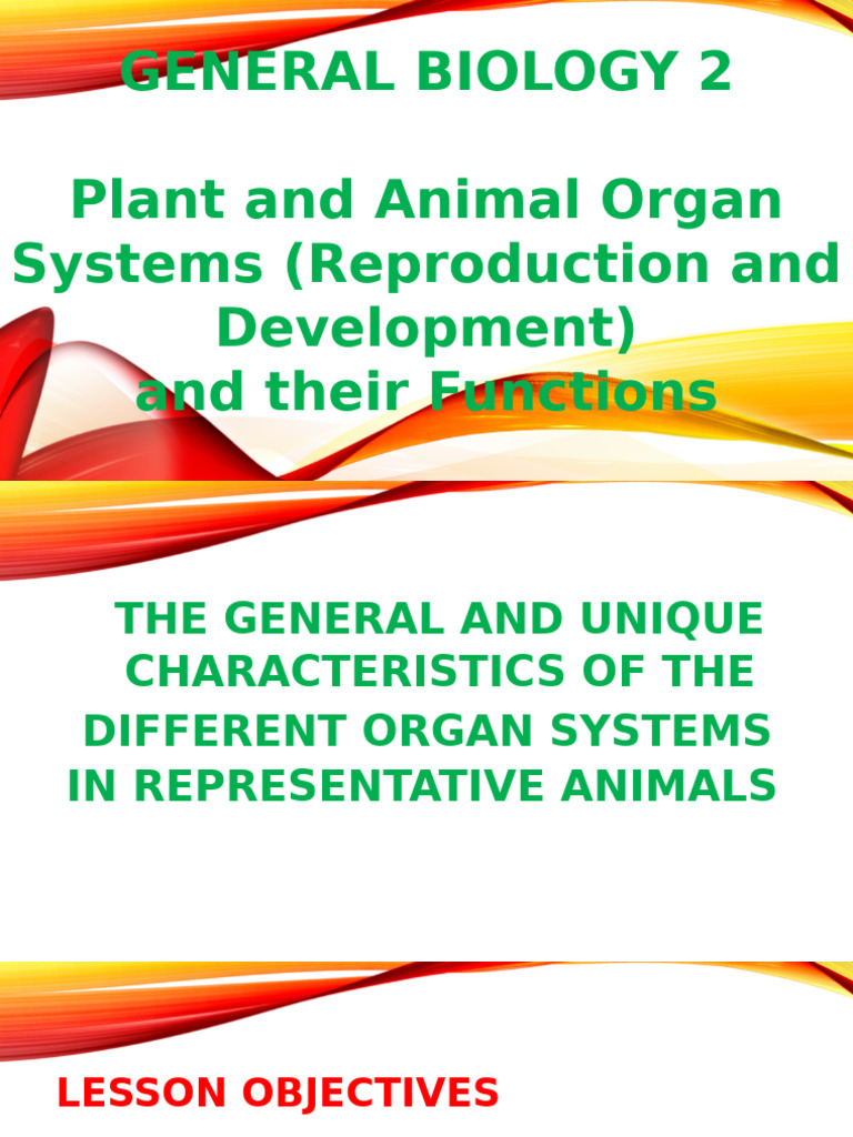 Animal Reproductive Systems Overview | PDF | Reproductive System ...