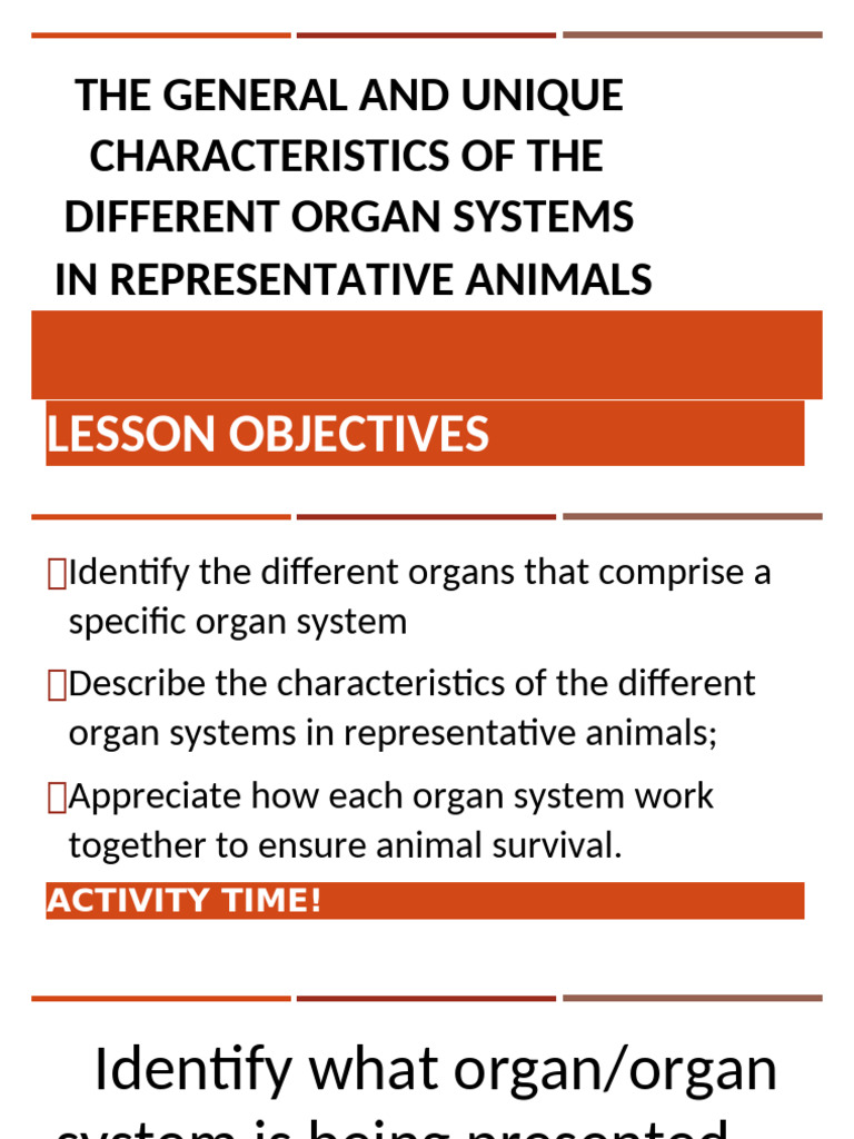 Introduction To Organ Systems | PDF | Morphology (Biology) | Biology