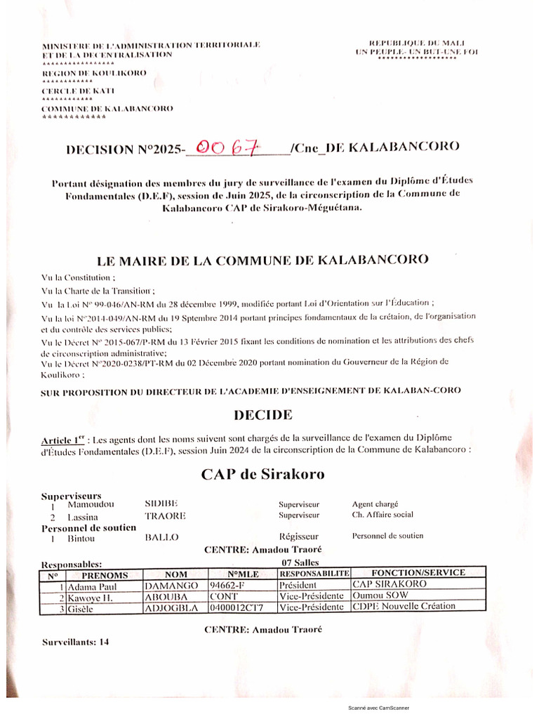 Dec Surv Def Cap S Meg | PDF