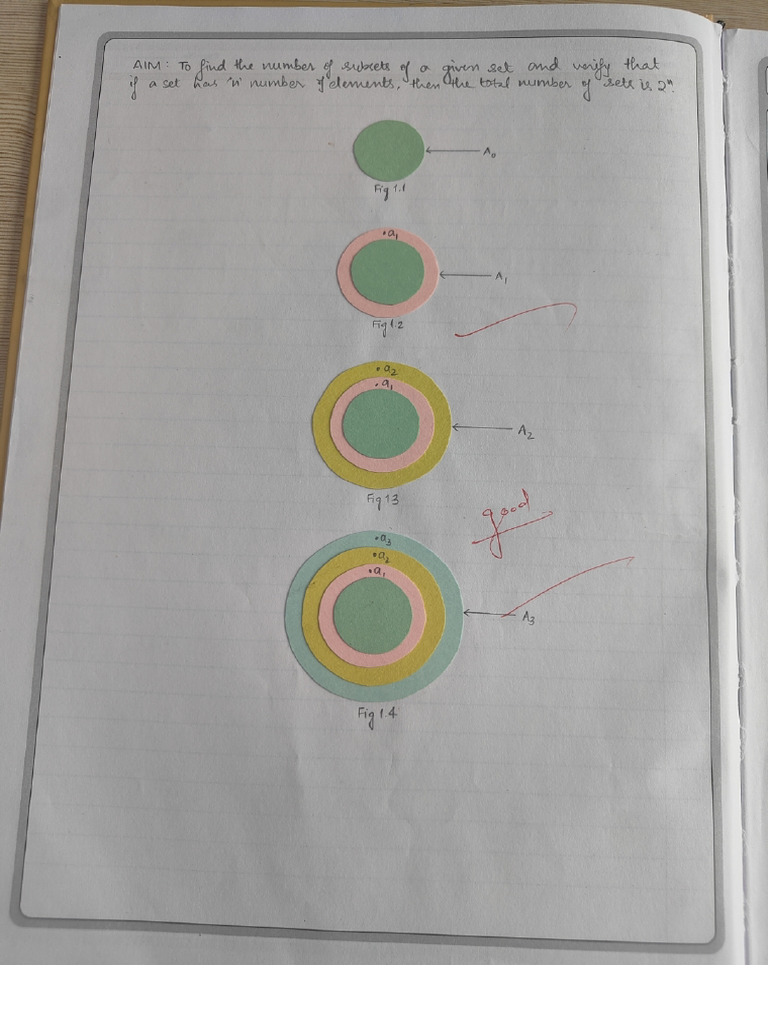 XI, Practical Activities | PDF