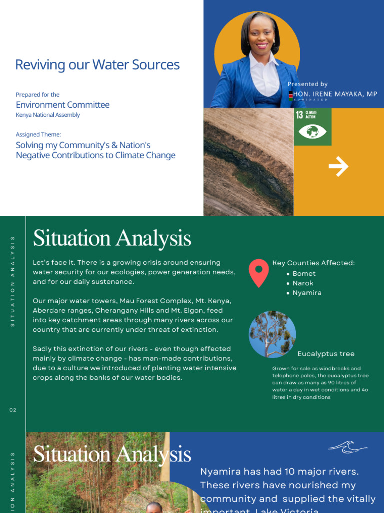 Reviving Rivers: A Call to Action | PDF | Bamboo | Soil