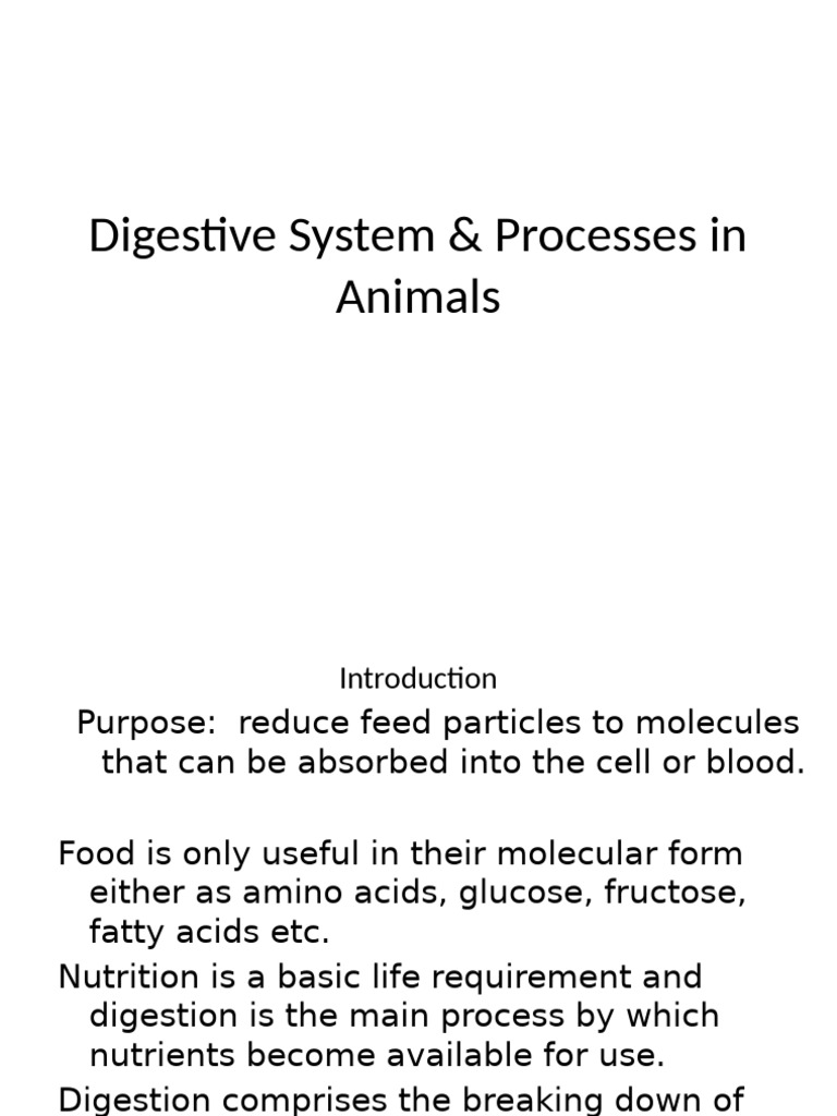 Animal Physiology Bio 102 Nutrition | PDF | Digestion | Ruminant