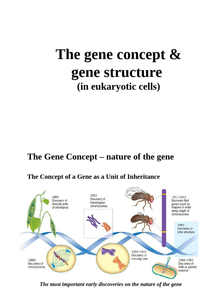 Phar 6201 - Class 2 - Gene Concept | PDF | Gene | Recombinant Dna