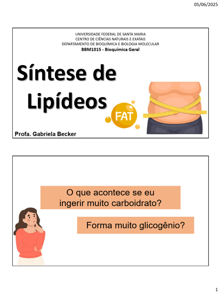 Aula 16 - Síntese de Lipídeos - Lipogênese | PDF | Biossíntese ...