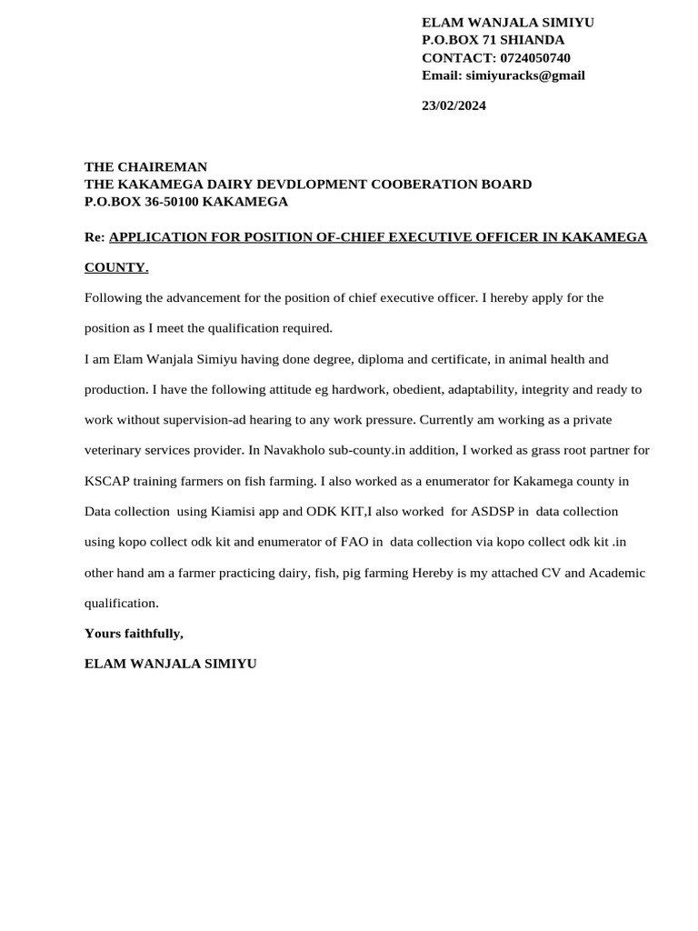 Elam Application Letter and CV | PDF