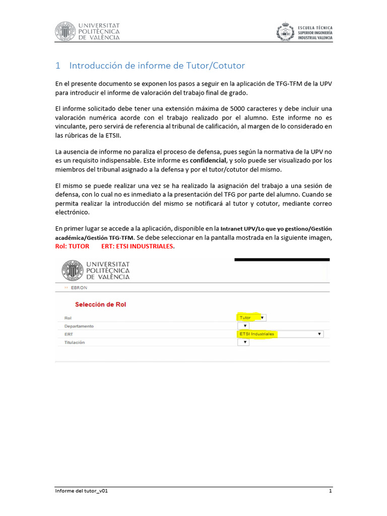Informe Del Tutor v01 | PDF | Informática
