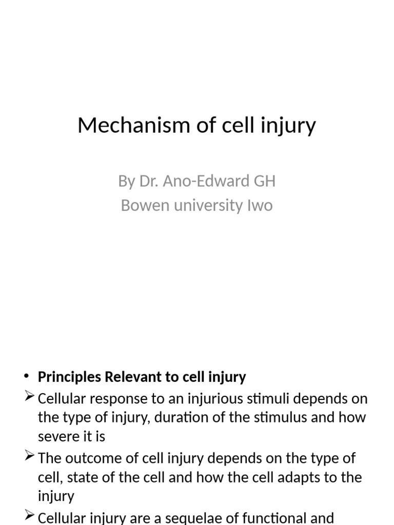 Mechanism of Cell Injury Bowen University | PDF | Adenosine ...