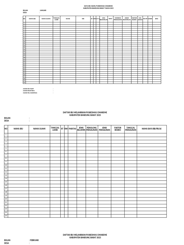Form Data Bumil & Bulin Desa | PDF