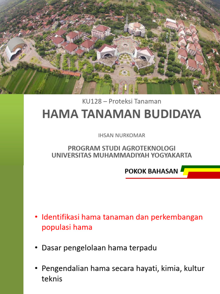 Hama Tanaman Budidaya | PDF