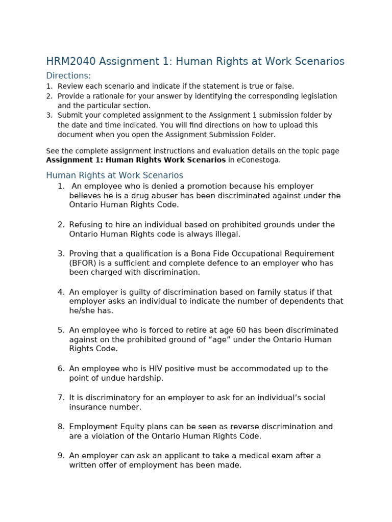 Human Rights at Work Scenarios | PDF