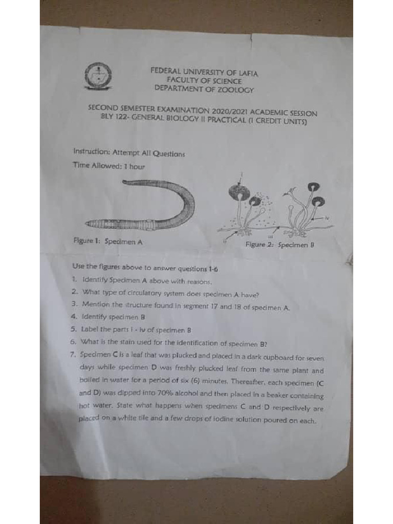 Share Bly 122 PQ | PDF