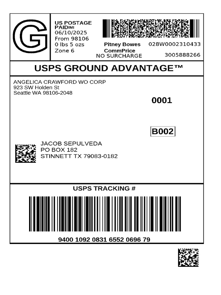 06-10 - 00-53-52 - Shipping Label | PDF
