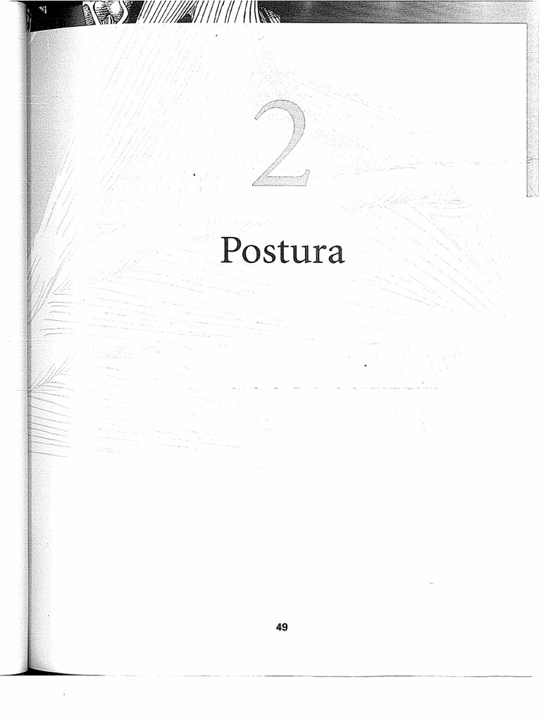 Capitulo Postura Kendall | PDF