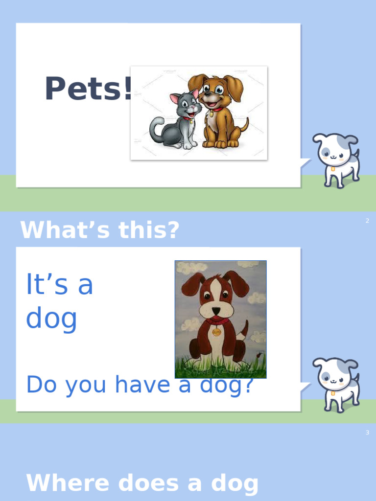 Pet Picture Descriptions for Kids | PDF