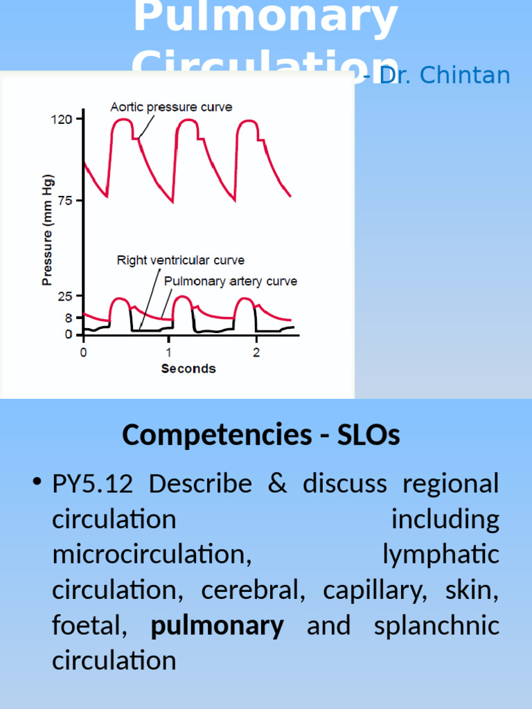 2 Pulmonary Circulation | PDF | Lung | Circulatory System
