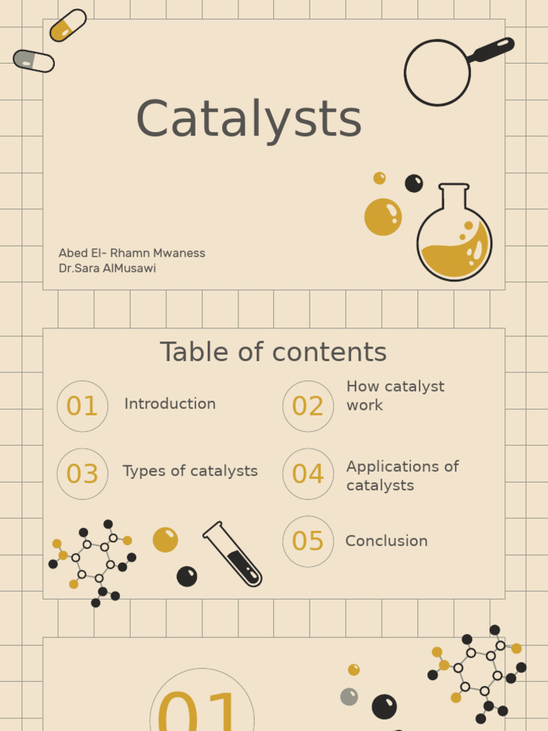 Chemistry Project Catalysts | PDF | Catalysis | Chemical Reactions