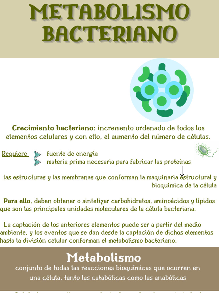 Metabolismo Bacteriano: Crecimiento y Energía | PDF | Respiración ...