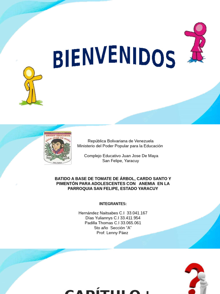 Diapositivas Poryecto Naza | PDF