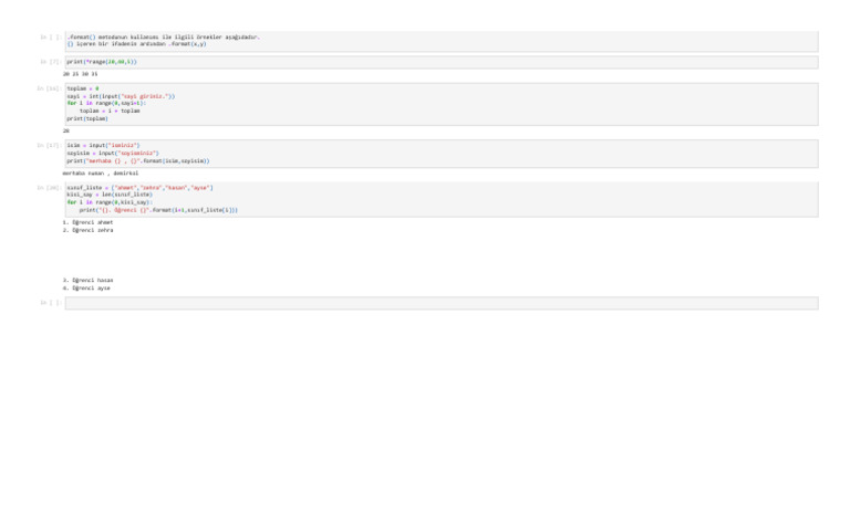Format Ornekler | PDF