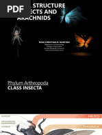 ENT-501 Biting and Chewing Type Insect Mouth Parts | PDF | Insects ...