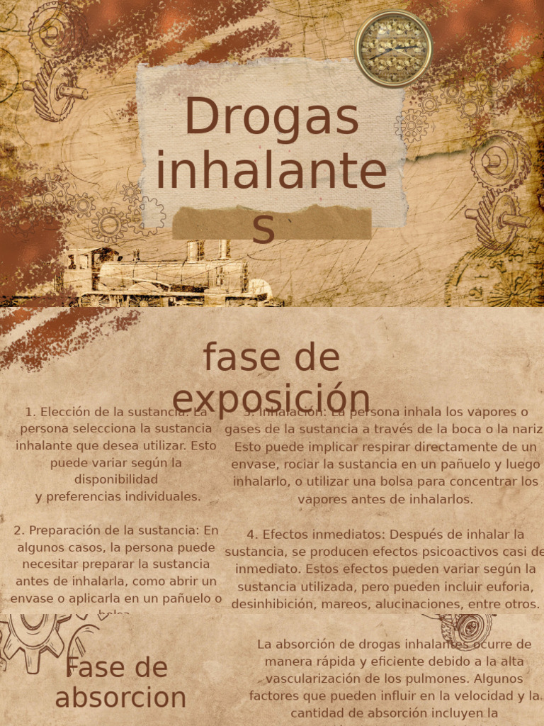 Efectos de drogas inhalantes en México | PDF | Biotransformación | Drogas