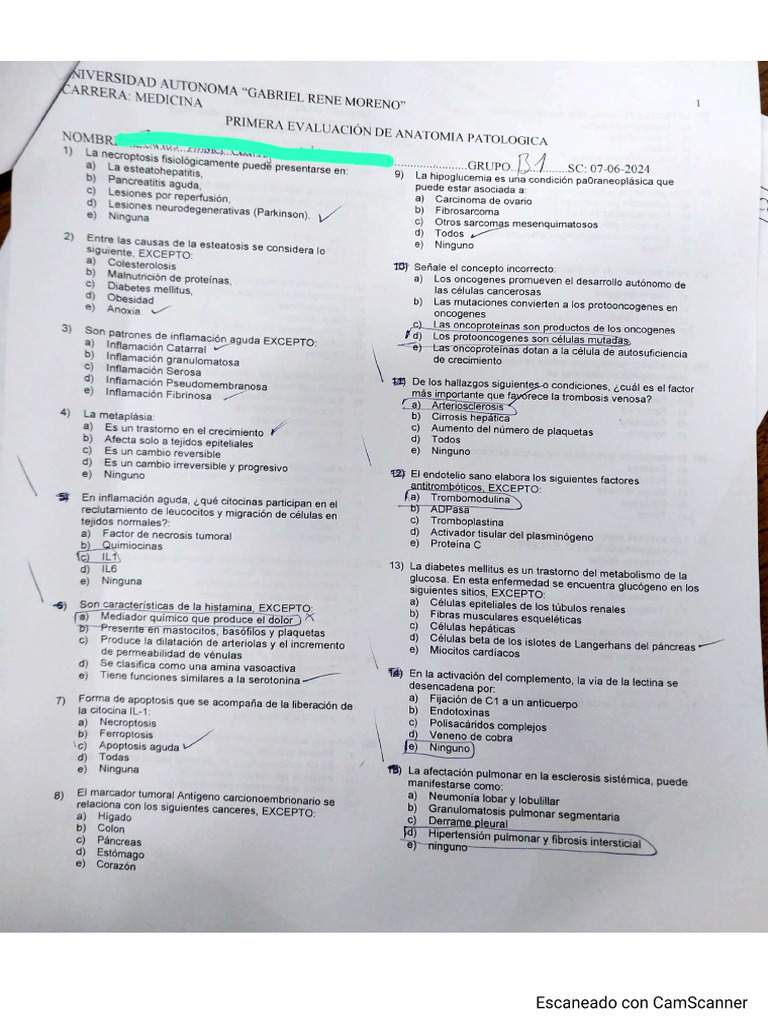 1er Parcial Compilado | PDF