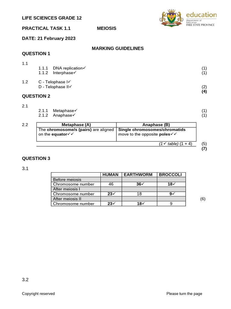 LS GR 12 Prac 1 Feb 2023 MEMO ENG 1708954932 | PDF | Meiosis | Chromosome
