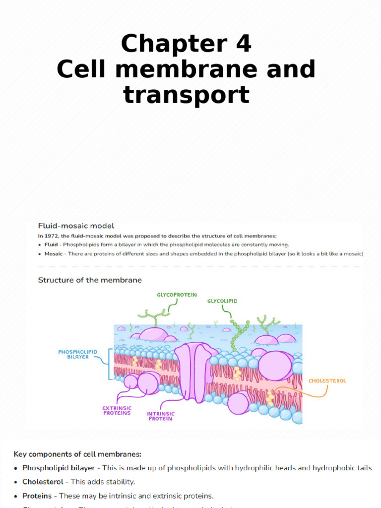 Chapter 4 Cell Membrane and Transport | PDF