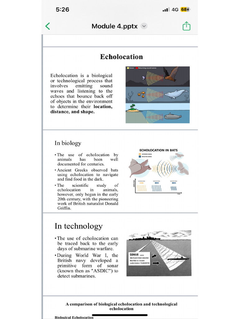 Bio 3rd Internals | PDF