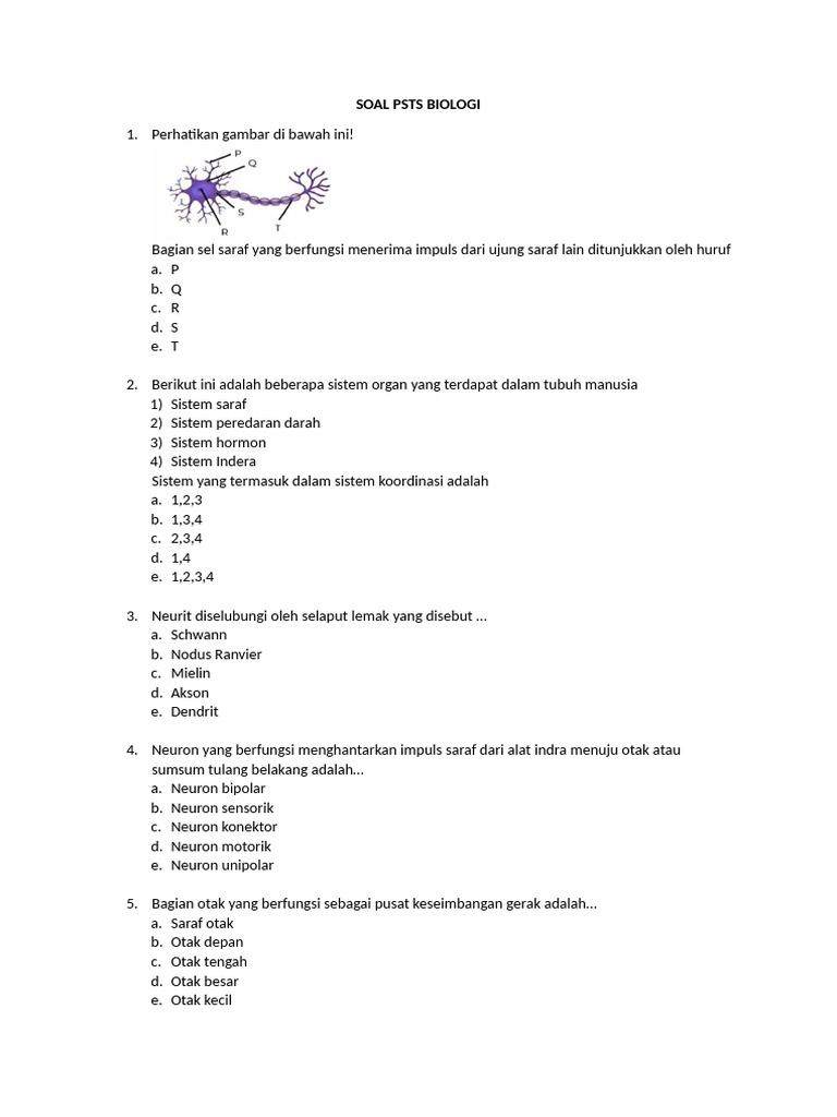 Soal Psts Bio Kelas Xi 2025 | PDF