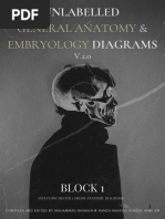 10 Week Size Surge | PDF | Physical Exercise | Dieting