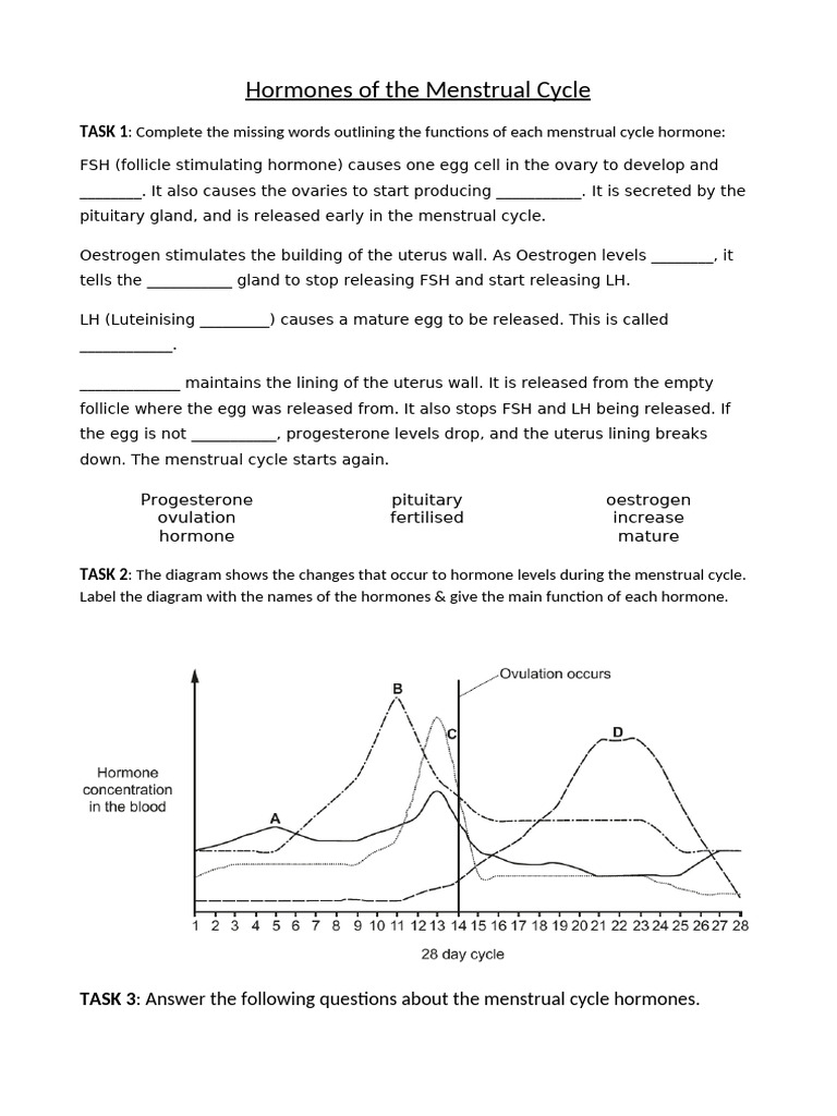 L9 WKST Menstrual Hormones | PDF